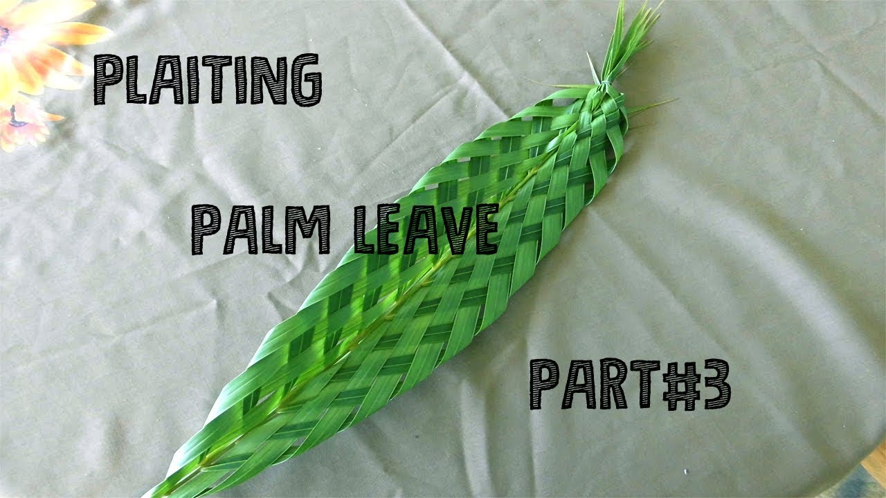 Plaiting Palm Leave Part#3 - YouTube