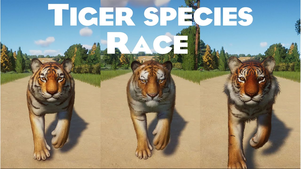 Tiger Species Animals Races in Planet Zoo included Bengal Tiger ...