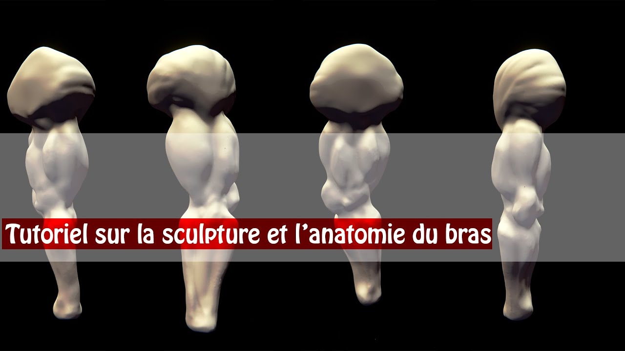 Blender Tutoriel - Sculpture et Anatomie du bras. By Profiz - YouTube