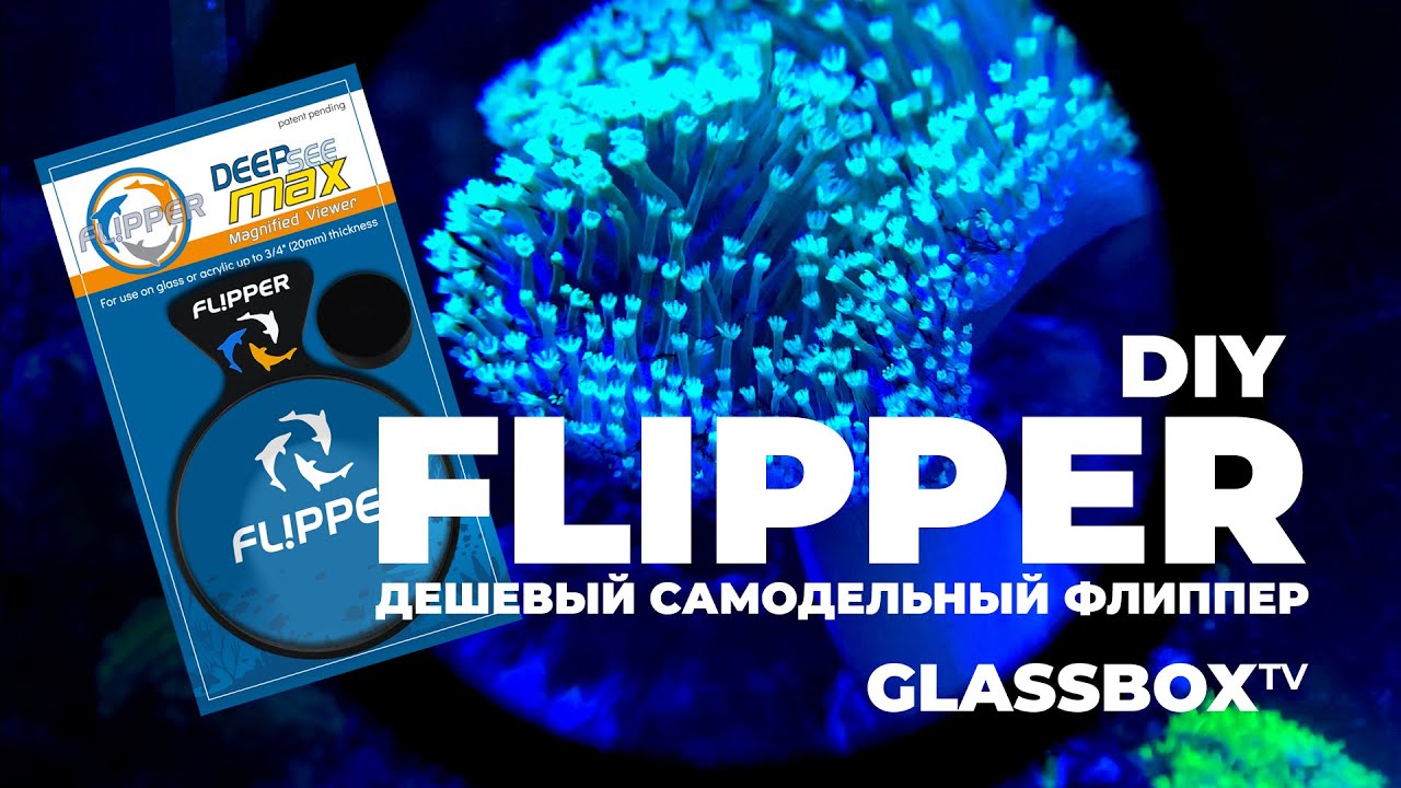 DIY - Flipper своими руками - YouTube