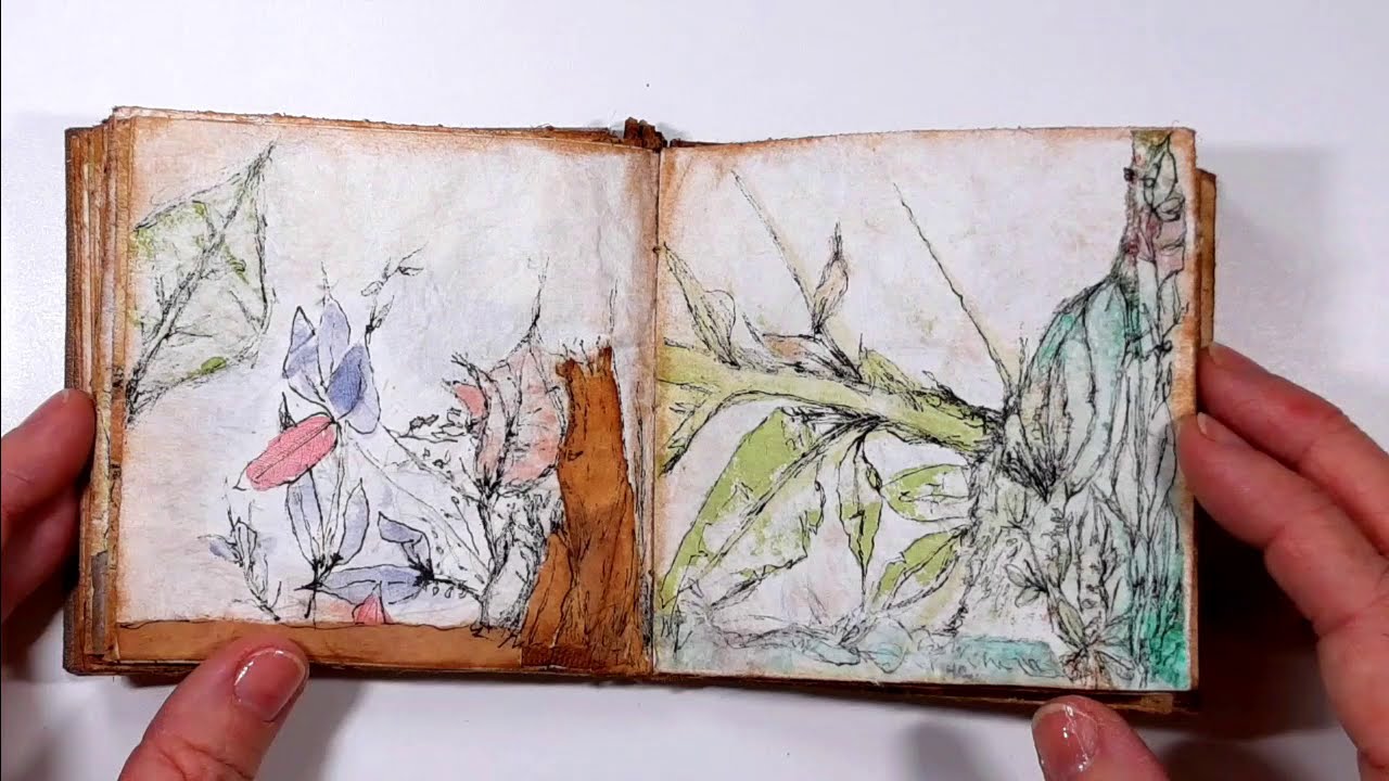 Trees and Leaves Book - YouTube