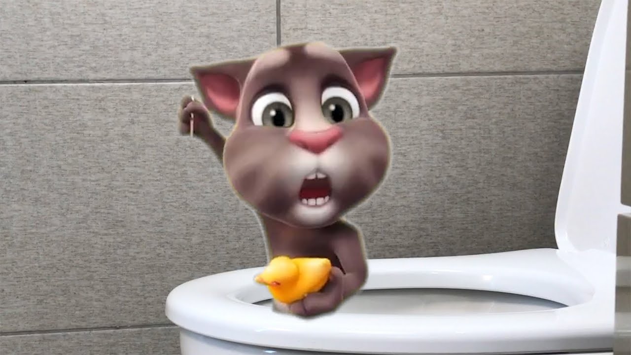 Talking Tom in Real Life Shorts - YouTube