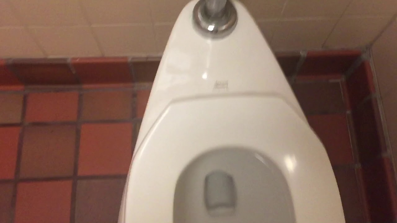 1,549. Panera Bread Men's Restroom - YouTube