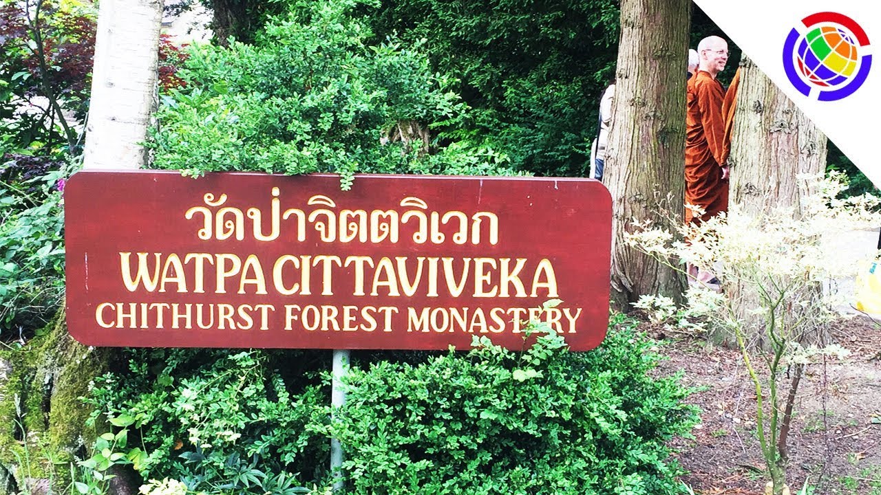 Cittaviveka 40 Years Anniversary - Chithurst Buddhist Monastery - วัด ...
