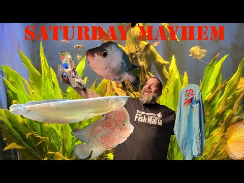 SATURDAY MAYHEM - YouTube