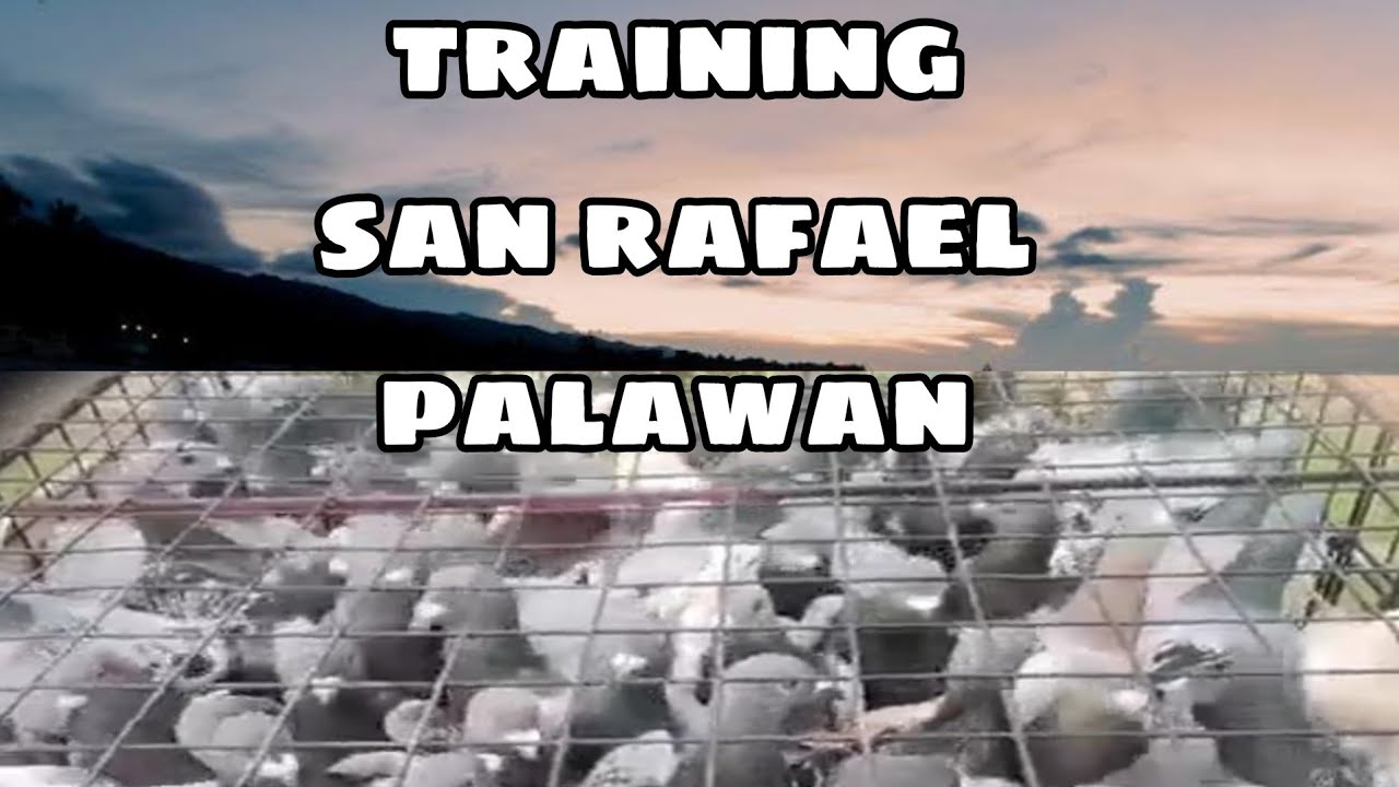 training san rafael palawan - YouTube