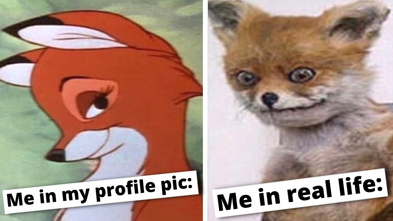 clean memes that butter my bread - YouTube