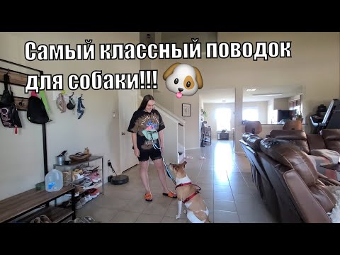 Самый классный поводок для собаки!!!