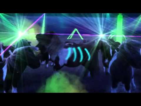 rave pony - YouTube