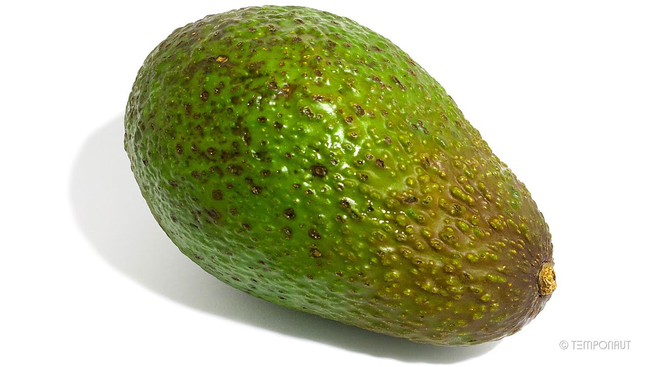 Rotting Avocado Time Lapse - YouTube