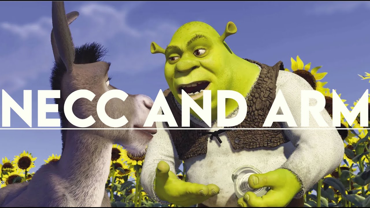 SHREK EDIT | 4K | NECC AND ARM - YouTube