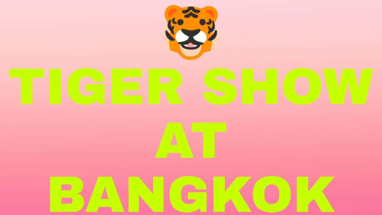 TIGER SHOW AT BANGKOK - YouTube