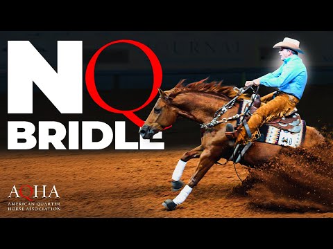 NO BRIDLE and they did WHAT!!??