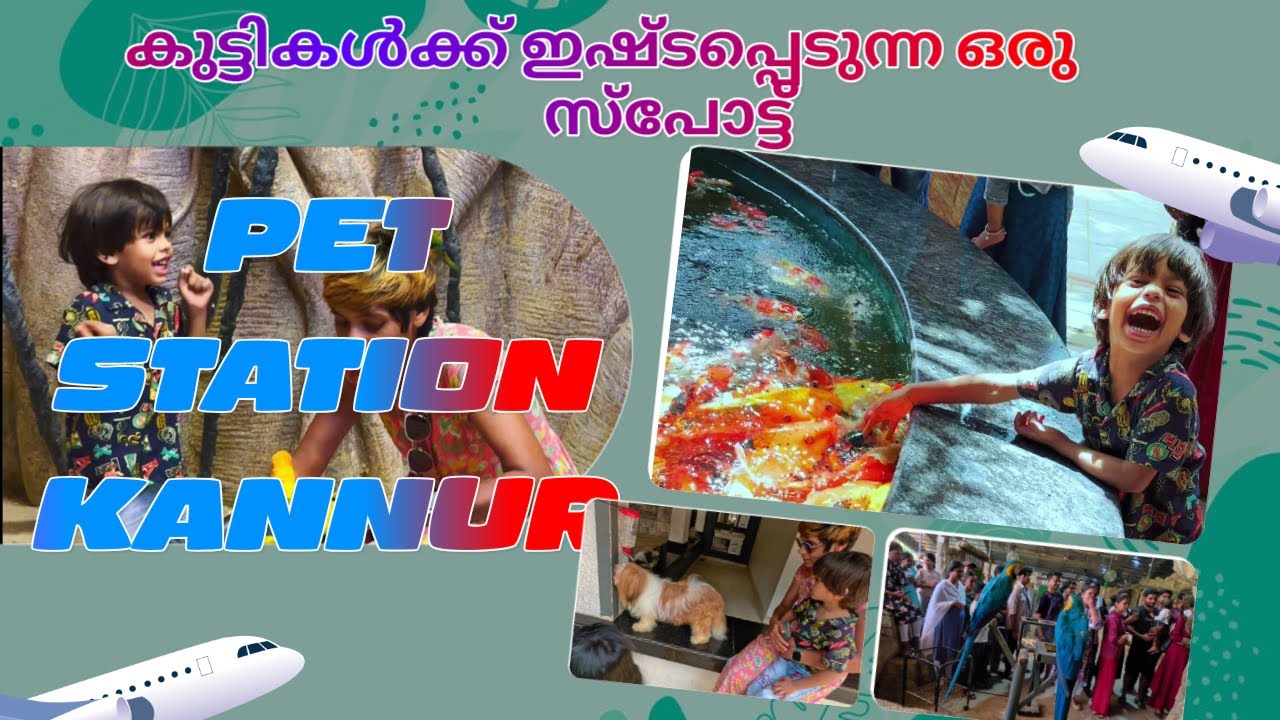 Pet Station, Mattool, Kannur (പെറ്റ് സ്റ്റേഷൻ, മാട്ടൂൽ, കണ്ണൂർ) #vlog # ...