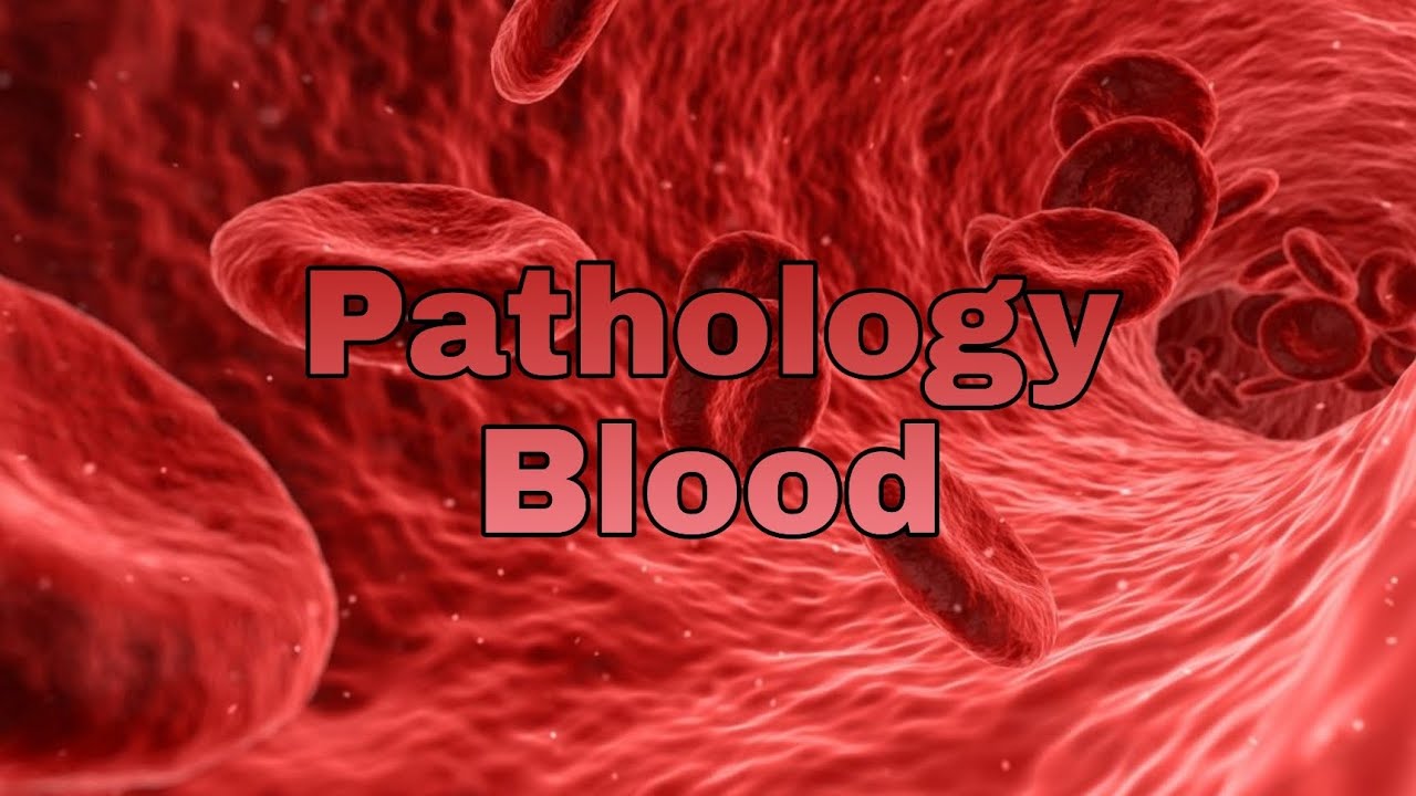 Blood pathology 3rd lecture - YouTube