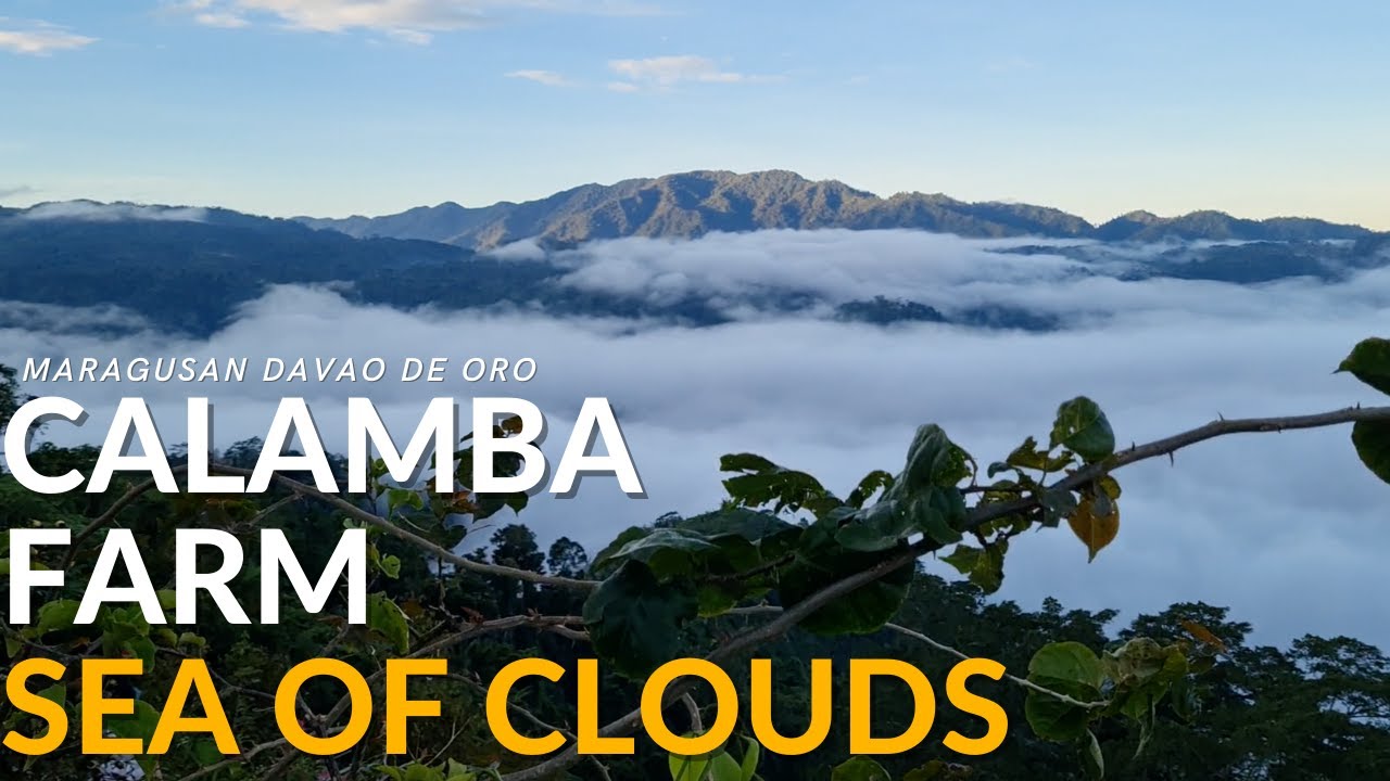 SEA OF CLOUDS MARAGUSAN, CALAMBA FARM DAVAO DE ORO - YouTube