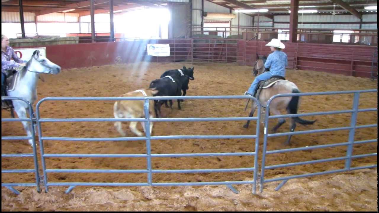 Valley View Ranch - Miss Peppy Pecas - sorting 4 - YouTube