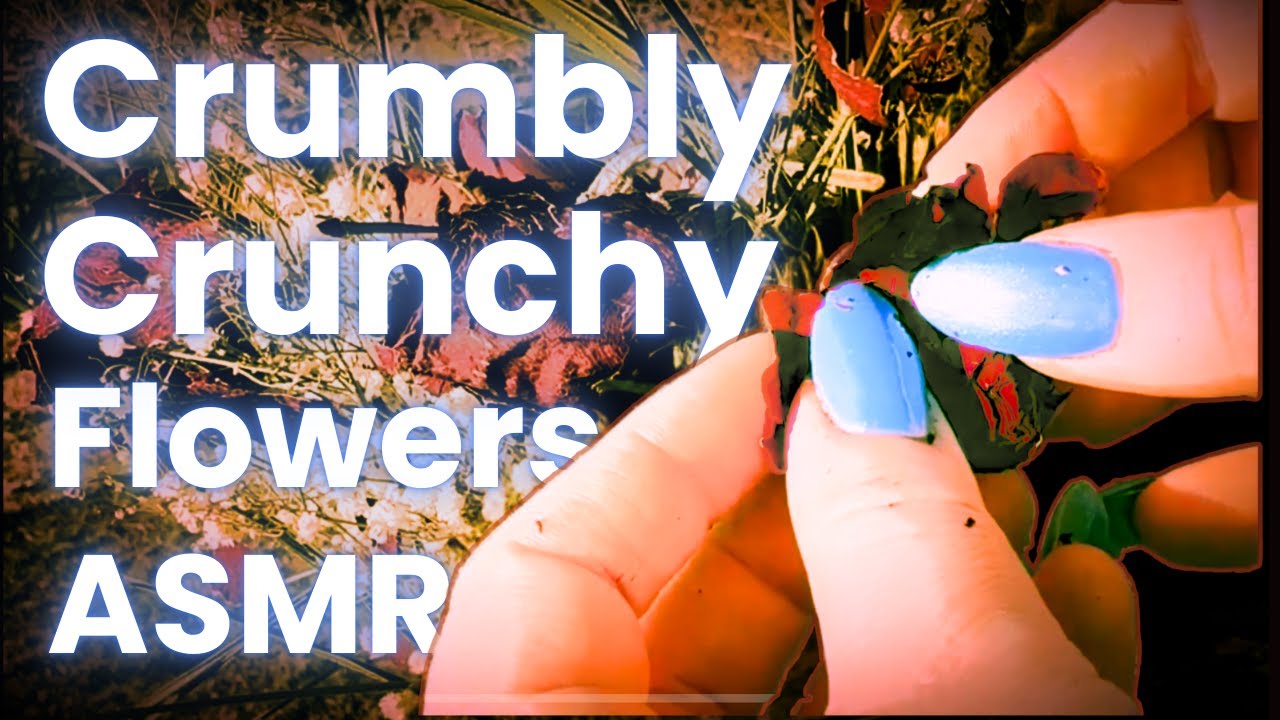 Crumbly Crunchy ASMR | Crumbling Leaves and Crinkling Dried Flowers ...