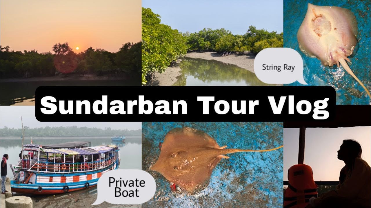 Sundarban Tour Vlog 2025/ Sundarban Tour Guide/ Sundarban Vlog ...