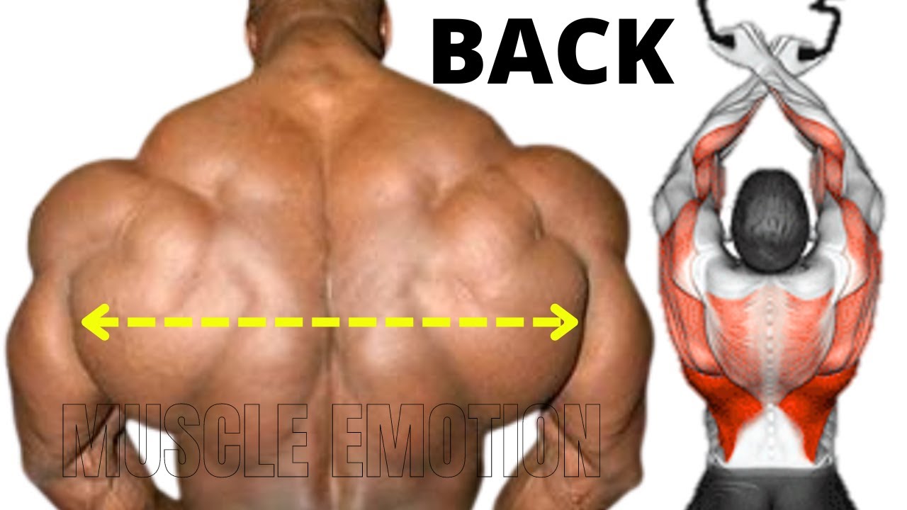 5 BEST BACK EXERCISES AT GYM - YouTube