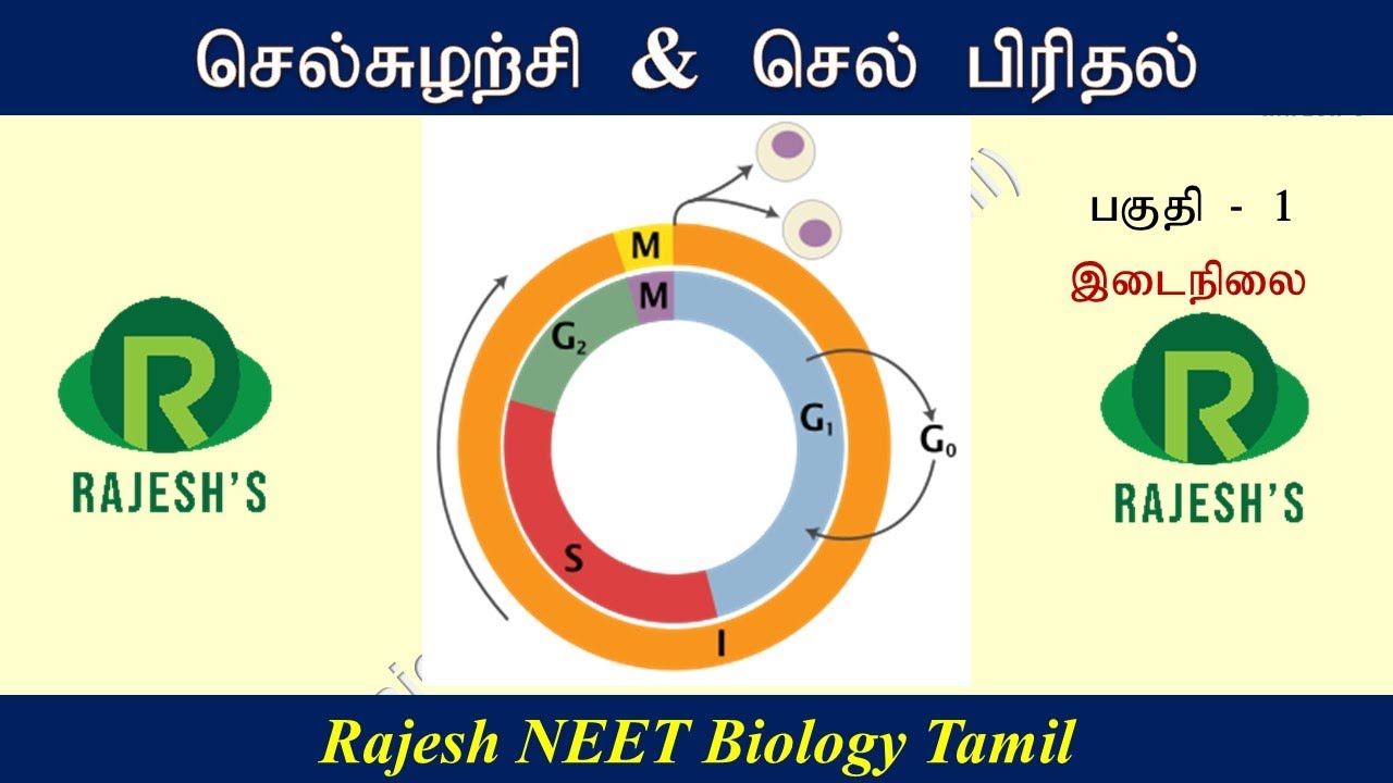 cell-cycle-and-cell-division-in-tamil-part-1-youtube