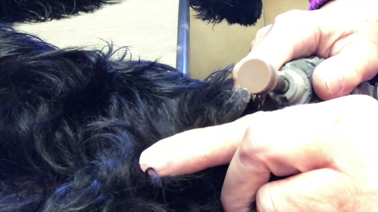 Retract nails - YouTube