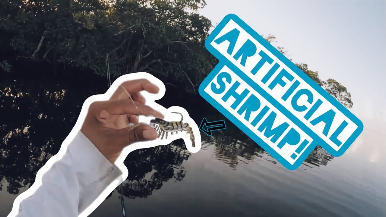FISHING ARTIFICIAL SHRIMP!(SURPRISE CATCH!) - YouTube