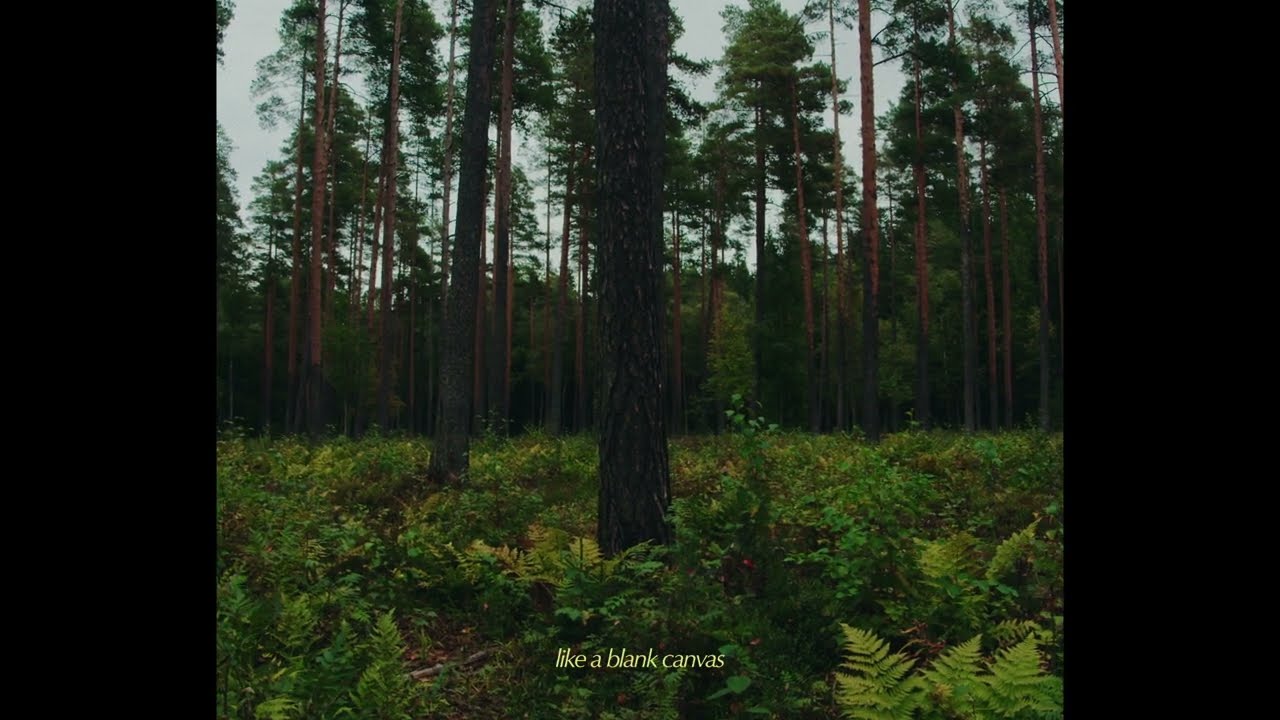 Blanke Ark - YouTube