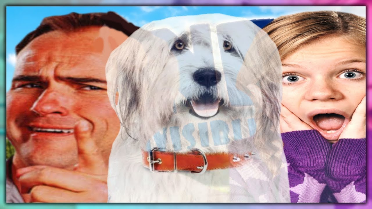 Abner, The Invisible Dog l Kshot - YouTube