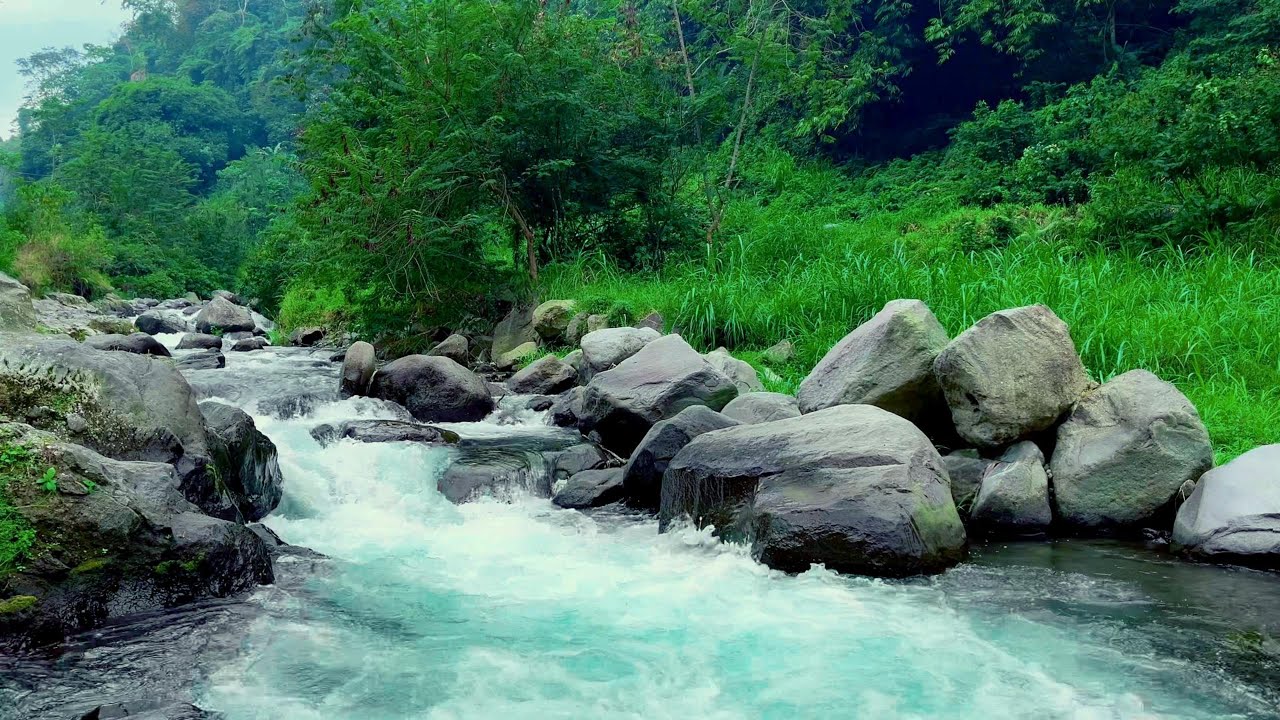 River Restfulness - Peaceful Sleep Journey | sleep - relax - enjoy life - ASMR - YouTube