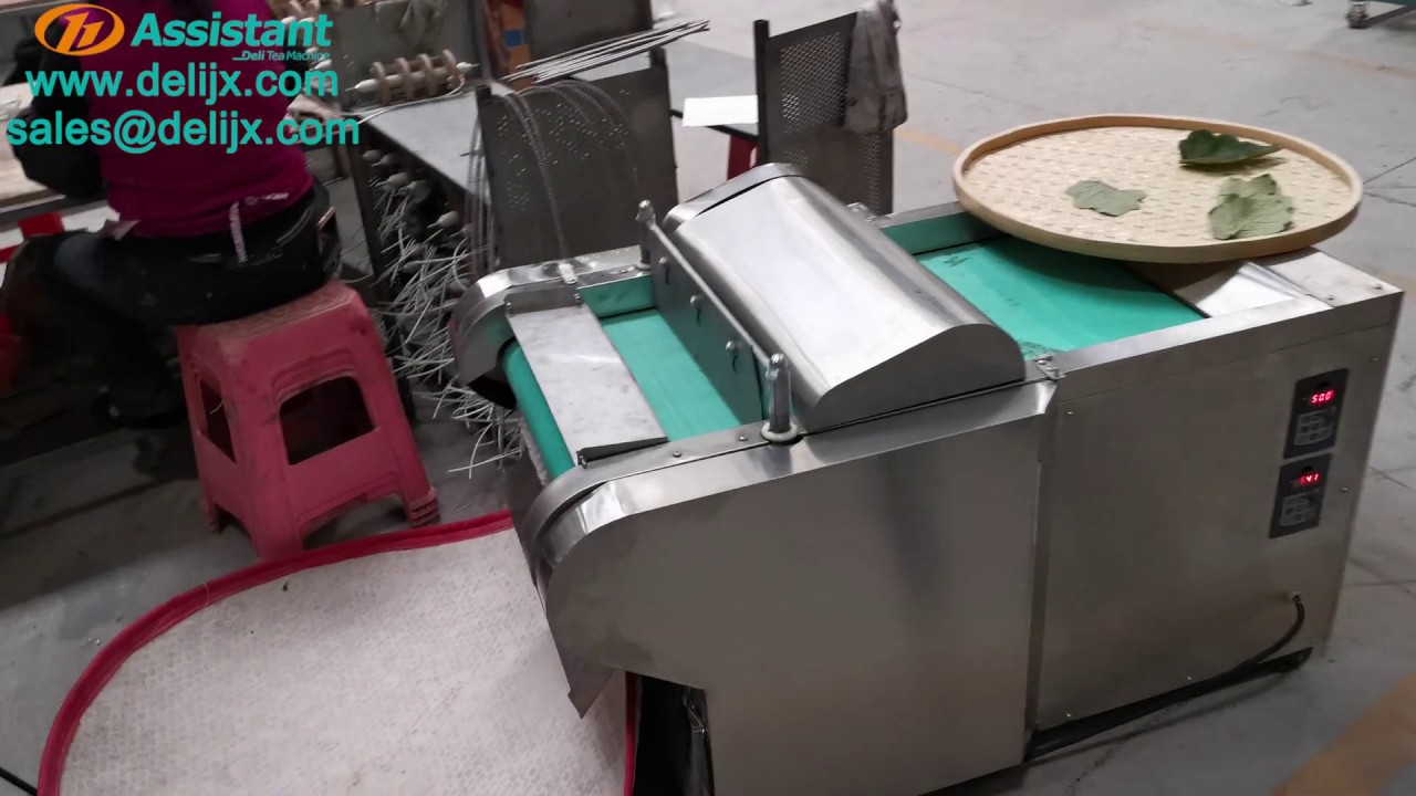 With 2 Motors With Speed Control Big Tea Tree Leaf Chopping Cutting ...