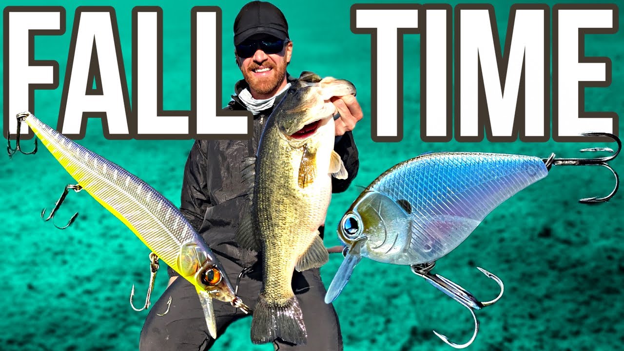 Fall Baits to Hunt One Big Bite - YouTube