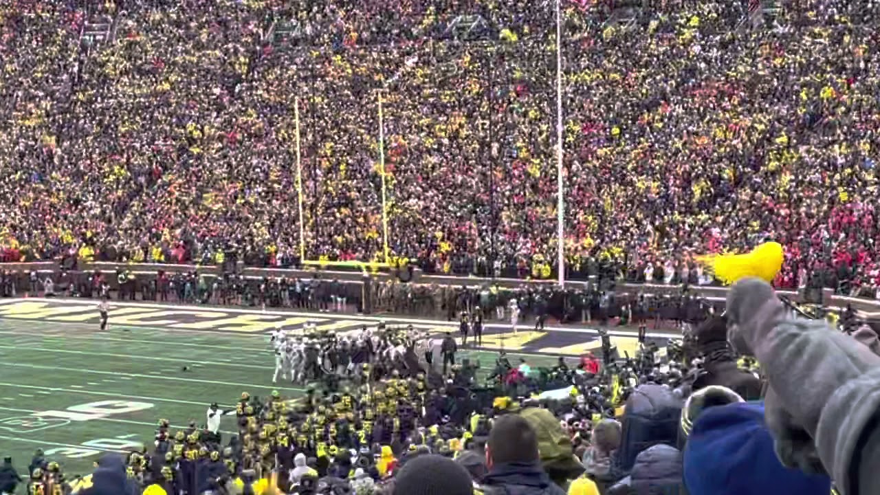 Michigan - Ohio State fight - YouTube