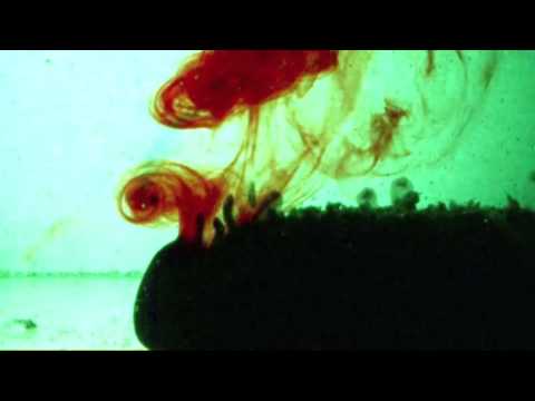 Upside-Down Jellyfish Vortex - YouTube