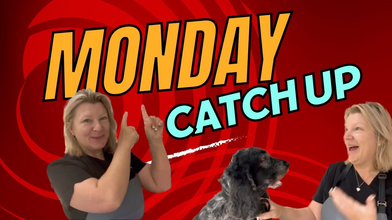 Monday catch up… - YouTube