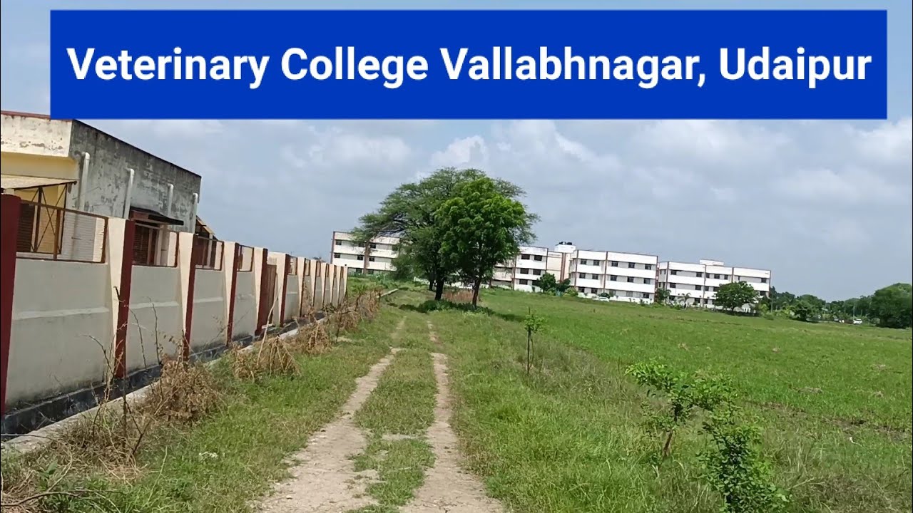 Veterinary college, College of veterinary and animal science Navania ...