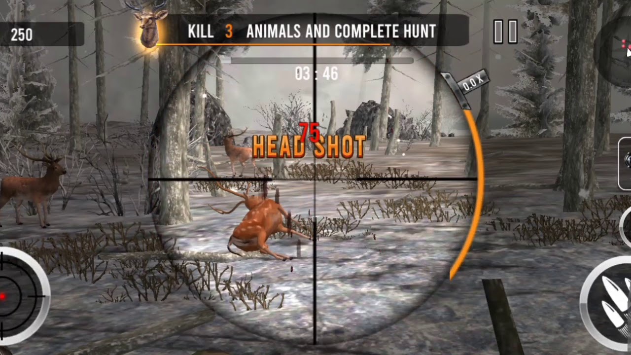 Game Berburu Rusa di hutan Lumayan dapat 3 ekor - YouTube