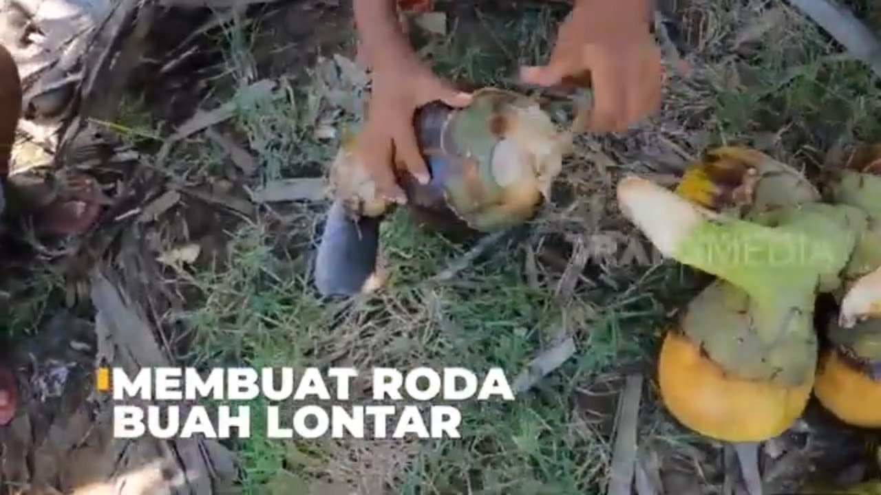 Membuat Roda Buah Lontar | SI BOLANG (23/02/23) - YouTube