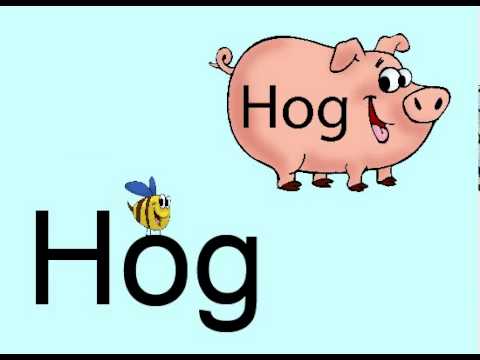 BABY SPELLING ANIMALS part 1 - YouTube