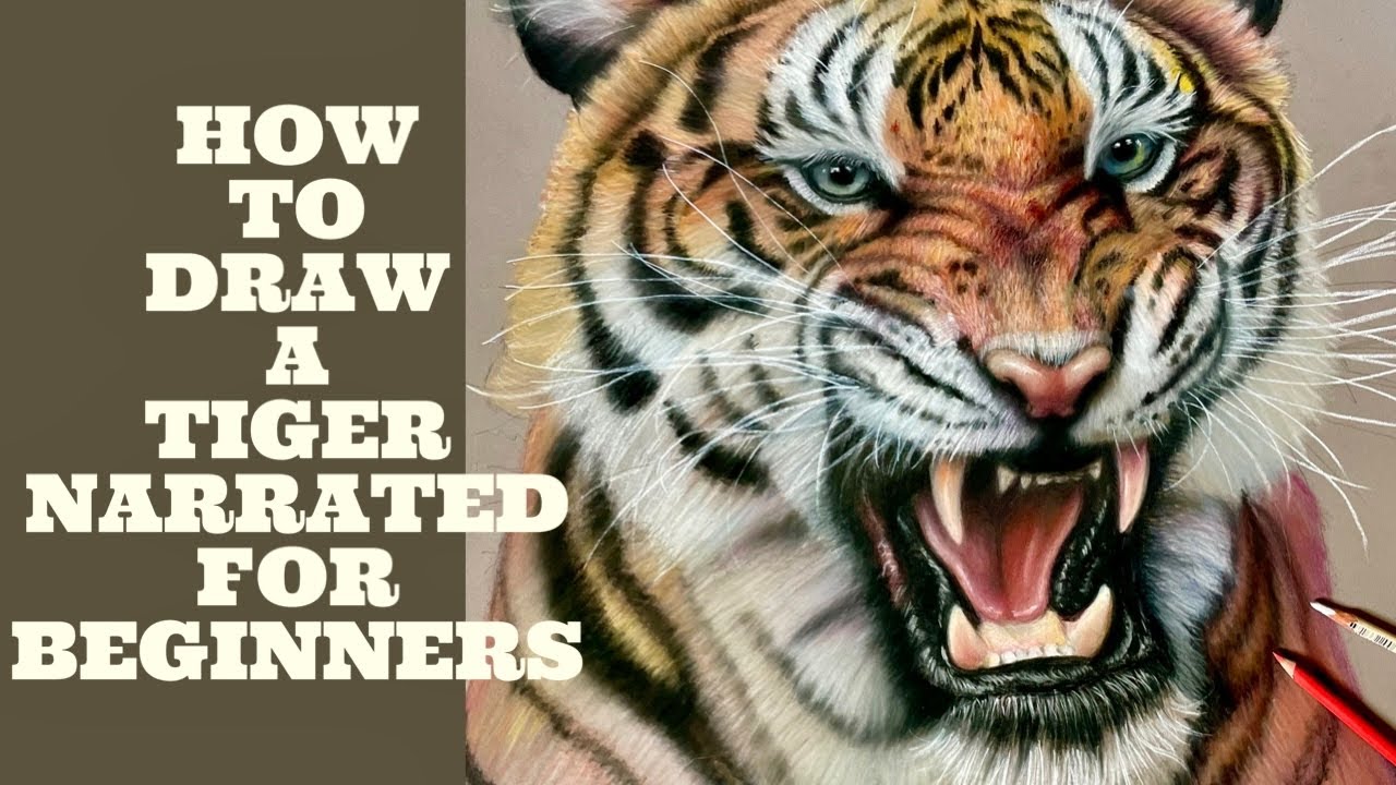 How to draw a Tiger with pastel pencils - YouTube