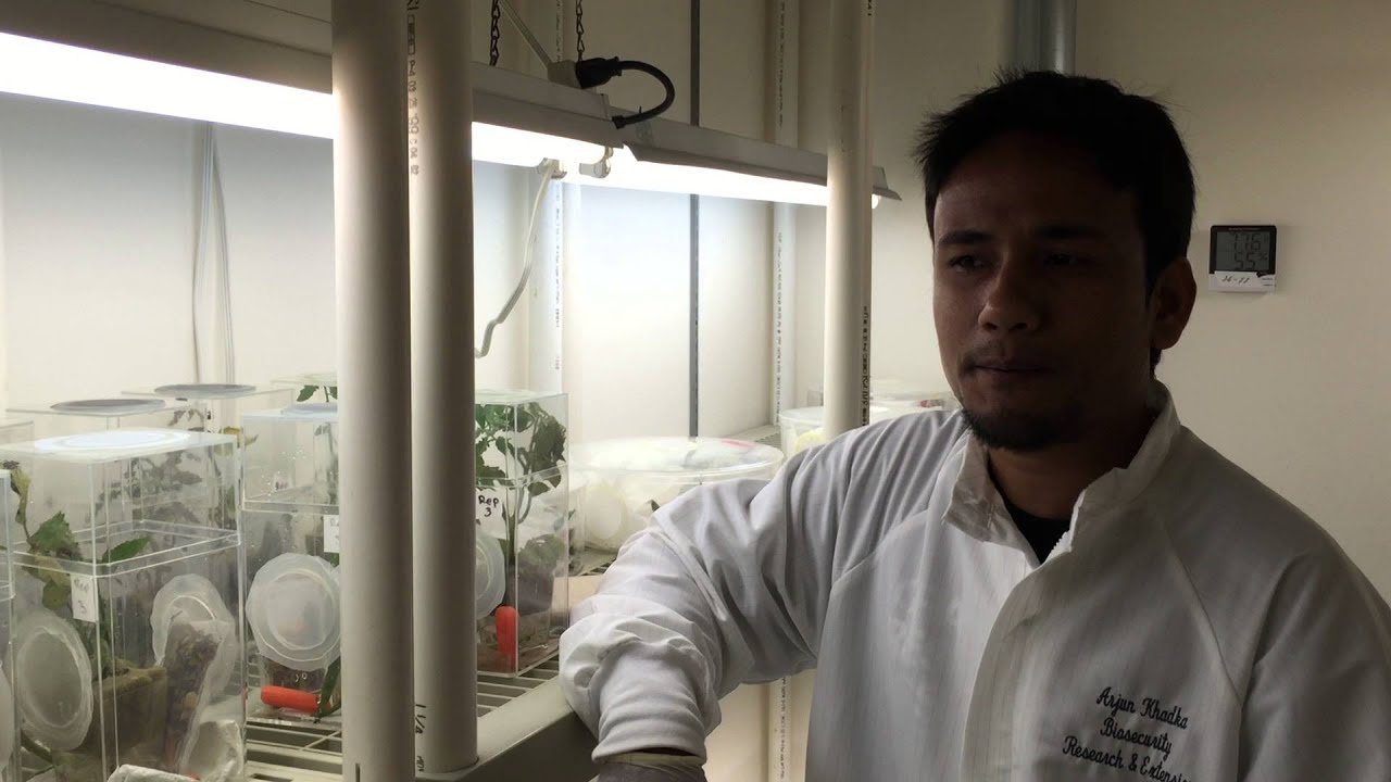 Arjun Khadka - YouTube