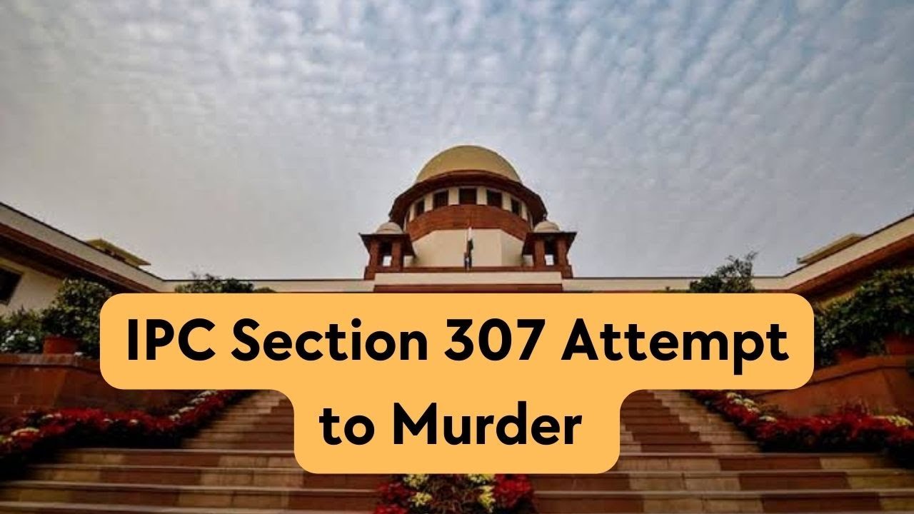 IPC 307 In Hindi Dhara 307 Kya Hai Section 307 IPC In Hindi YouTube