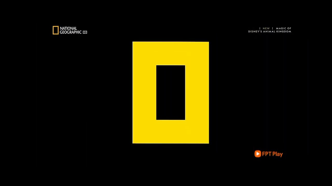 Magic Of Disney's Animal Kingdom - Opening Intro on National Geographic ...