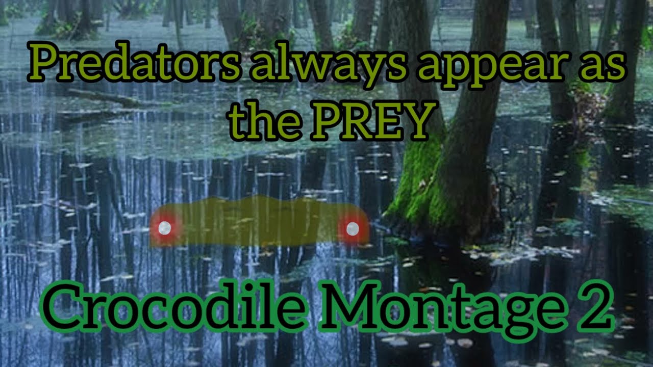 Crocodile montage 2 #deeeep #deeeepio #pearldefense - YouTube
