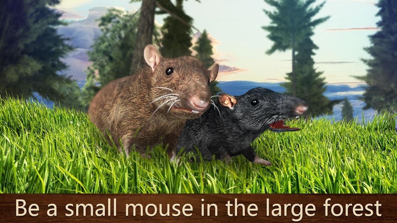 🐭Forest Mouse Simulator Raise a Family- By Virtual Animals World ...