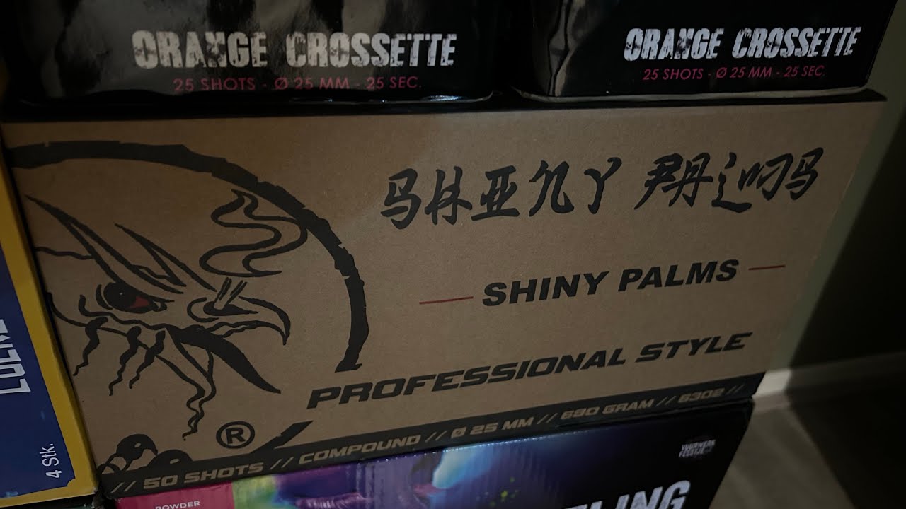 Shiny Palms • GBV Weco Vuurwerk • Oud en Nieuw - YouTube