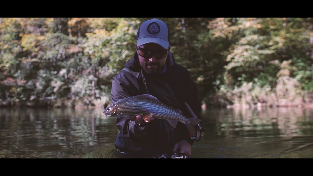 Kurzfilm über die Reviere der Steyr - YouTube