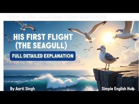 His First Flight – Class 10 English | Full Explanation & Summary ...