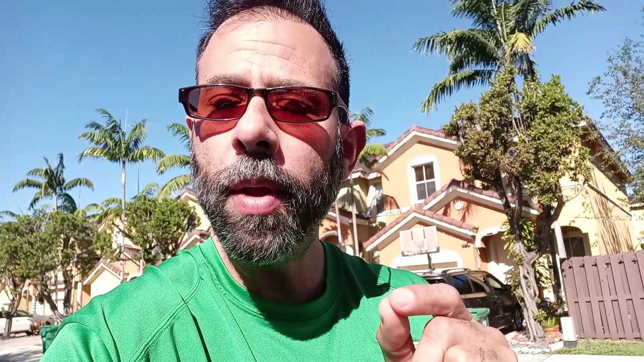 Rodents Rat and Mice Population Explosion In Miami The Complexities of ...