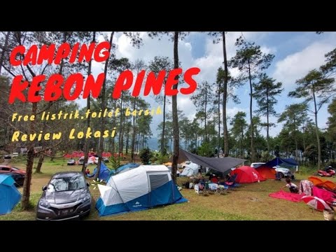 Camping Kebon Pines Lembang cikole | fasilitas ok |Udara sejuk #camping ...